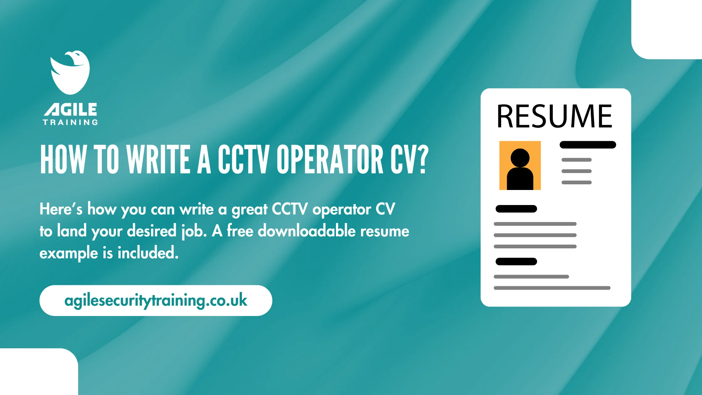Cctv Operator Sample Resume Looking In The Video Production World.